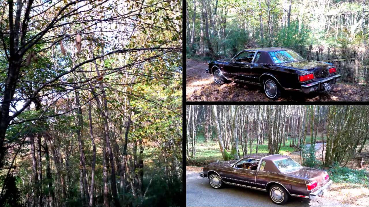 1979 M-Body Mopar Chrysler LeBaron Medallion. - YouTube