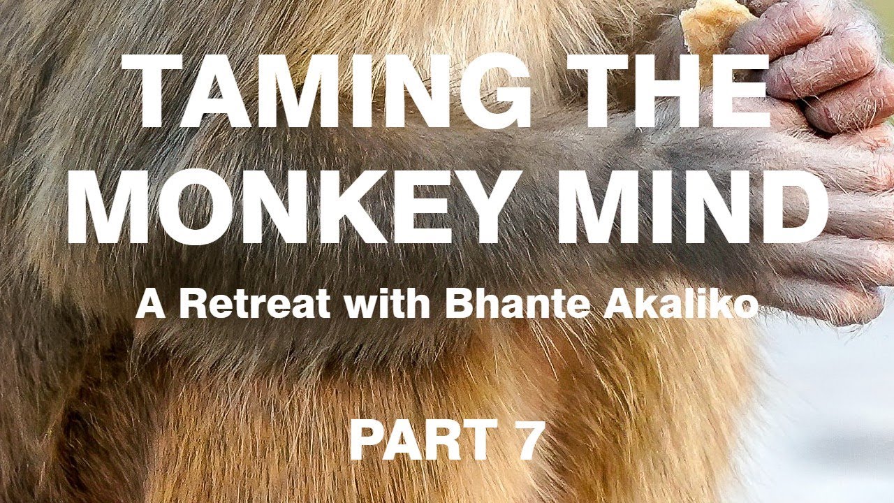 Akaliko Bhikkhu: Taming the Monkey Mind Retreat Part 7 - YouTube