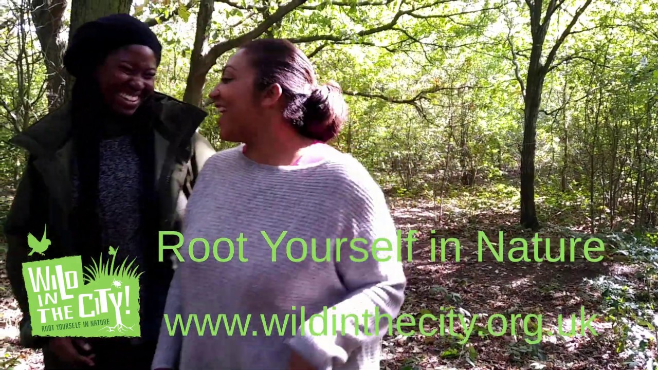 Root Yourself in Nature - YouTube