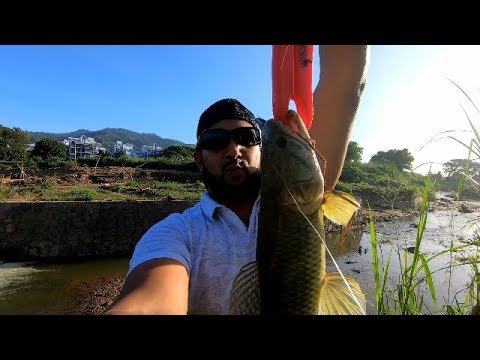 Using BREAD To Catch BAIT For HAND LINE Fishing For Wolf Fish (HURI ...