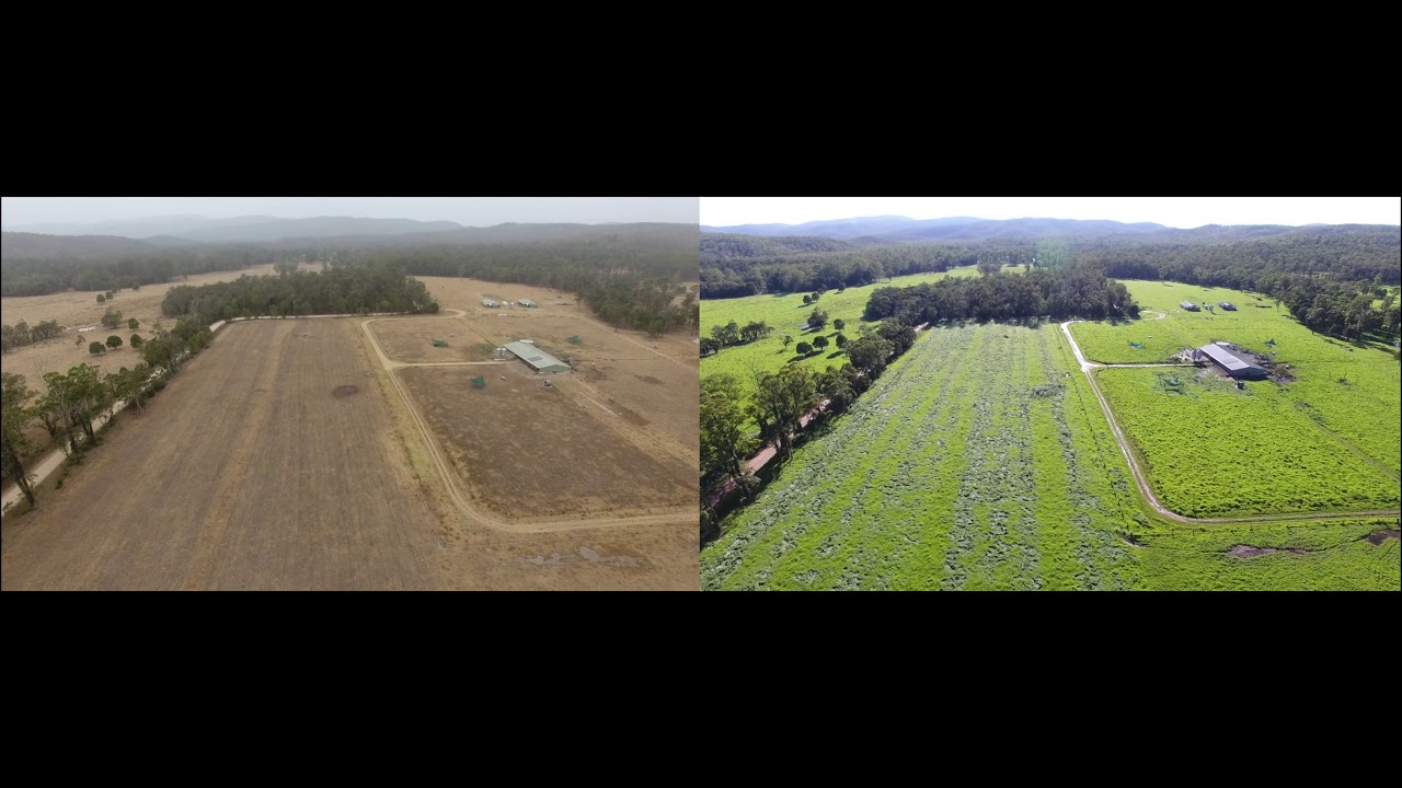 Hattam Farm 2020/2021 comparison - YouTube