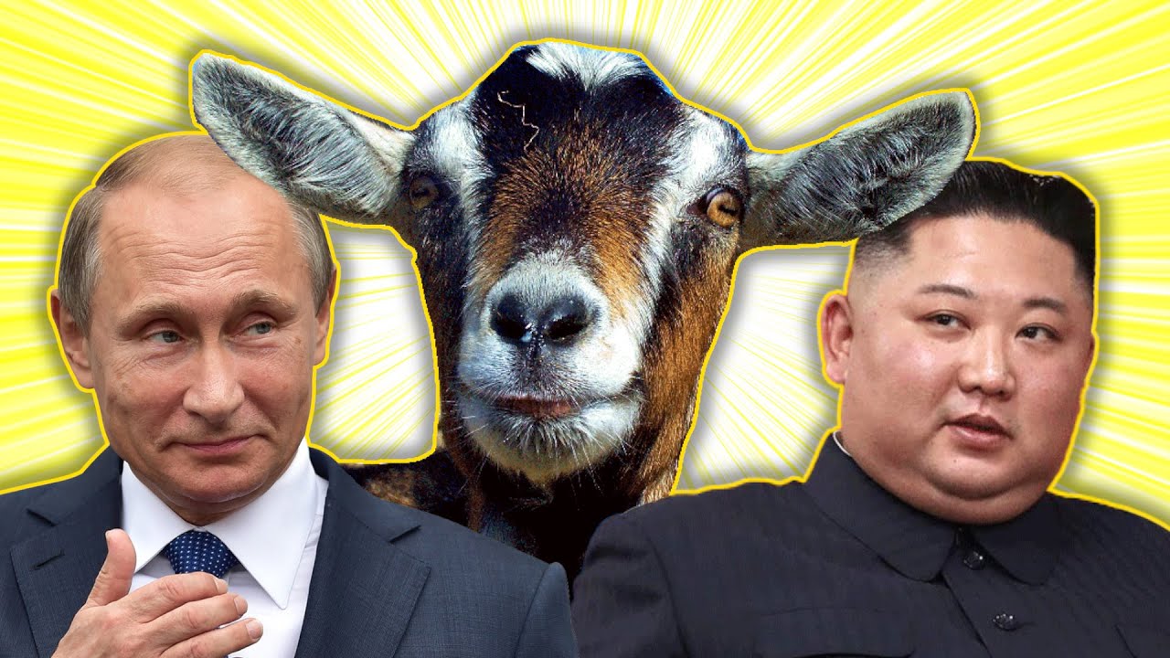 Putin trades Kim 100 BREEDABLE Goats for North Korea soldiers to fight ...