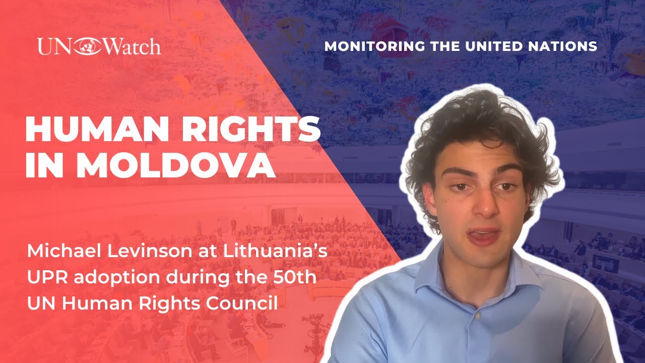UN Watch defends human rights in Lithuania - YouTube