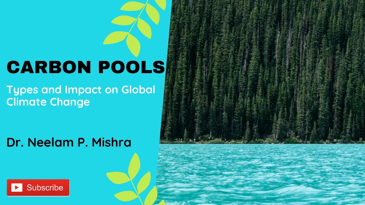 Carbon Pools | Types of Carbon Pools and Impact on Global Climate ...