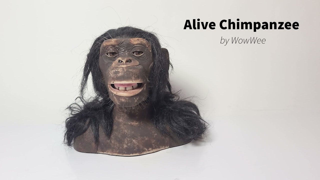 Animatronic Chimp Robot, Alive Chimpanzee by WowWee - YouTube