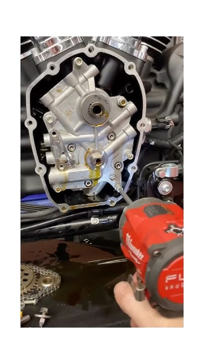 MILWAUKEE EIGHT 131 BUILD ENGINE PULL DOWN 117CI 🥹 Low kms - How’s that lifter 😔 #sfcustomcycles ...