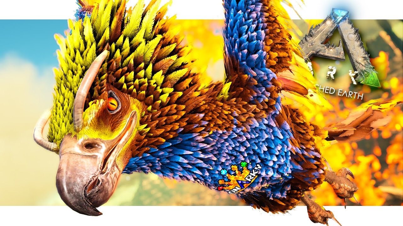 How Many Phoenix Can I Tame in 24hrs? - Monarky S3 EP42 - YouTube
