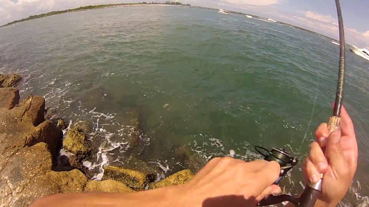 Catching Mangrove Snapper - Jetty Fishing - GoPro - YouTube