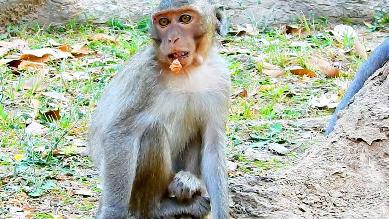 Update, Nanda hand gets better and soon Nanda can use her hand very ...