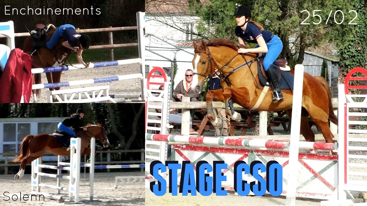 Stage CSO 25 février - Cavalier PRO - YouTube