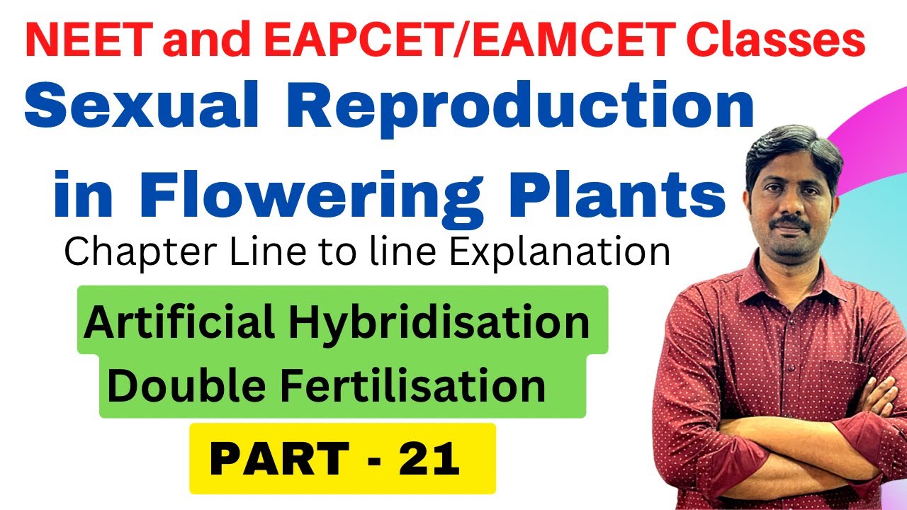 Artificial Hybridization || Double Fertilization || Sexual Reproduction ...