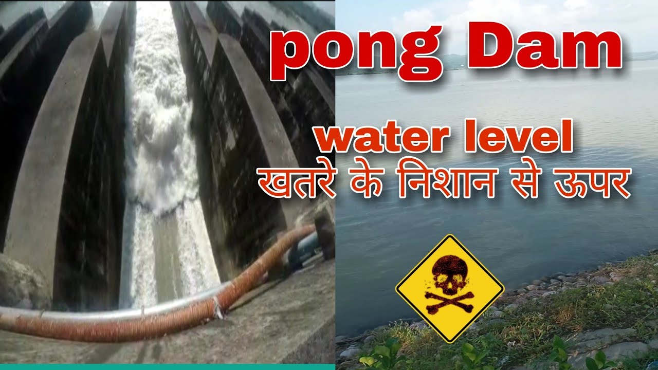 pong dam | pong Dam today update - YouTube