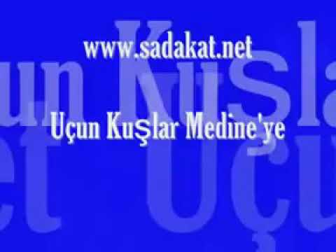 Uçun Kuşlar Medineye (Müziksiz ilahi)