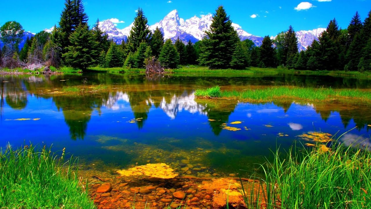 HQ Full HD Beautiful Relaxing Music at The Lake - Debussy, Chopin ...