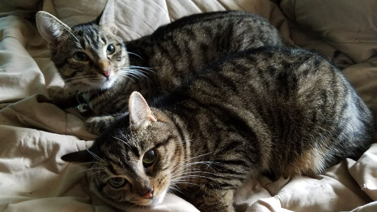 Let's Have a Talk. 7-23-2025 - YouTube