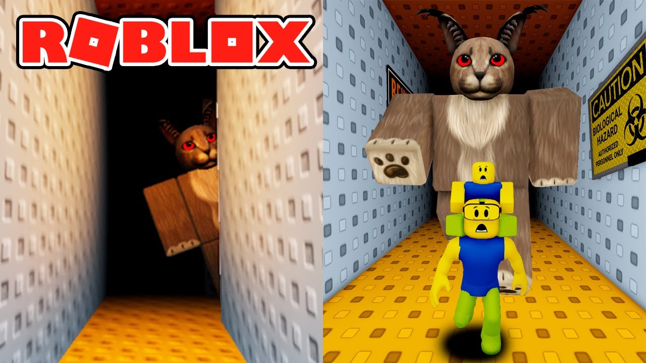 ESCAPA DE LOS BACKROOMS DE FLOPPA 🐈 | Floppa Escape | JehxTp - YouTube