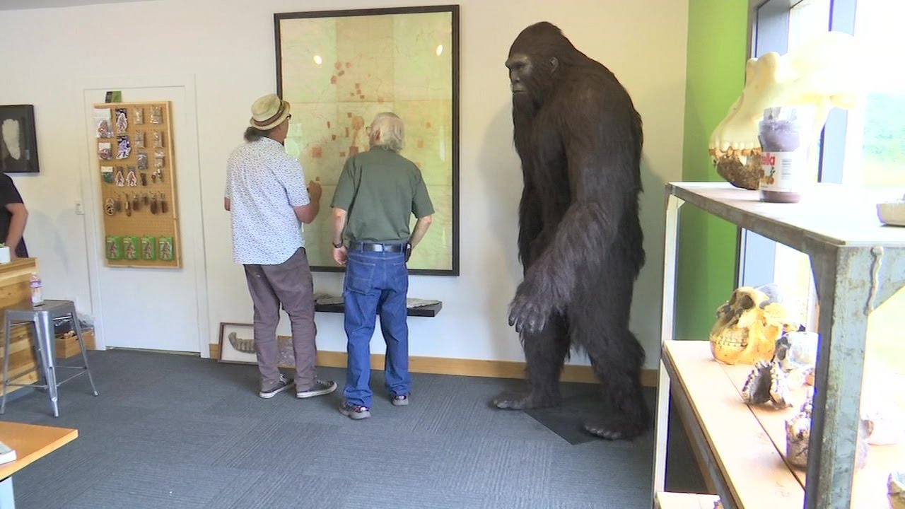 Sasquatch search: Bigfoot museum opens in Oregon - YouTube