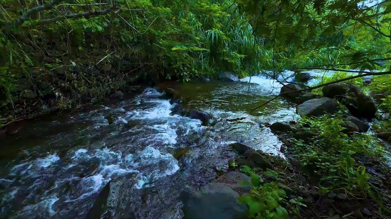 Ambient River Sounds | Relaxing Nature Music for Meditation and Deep ...