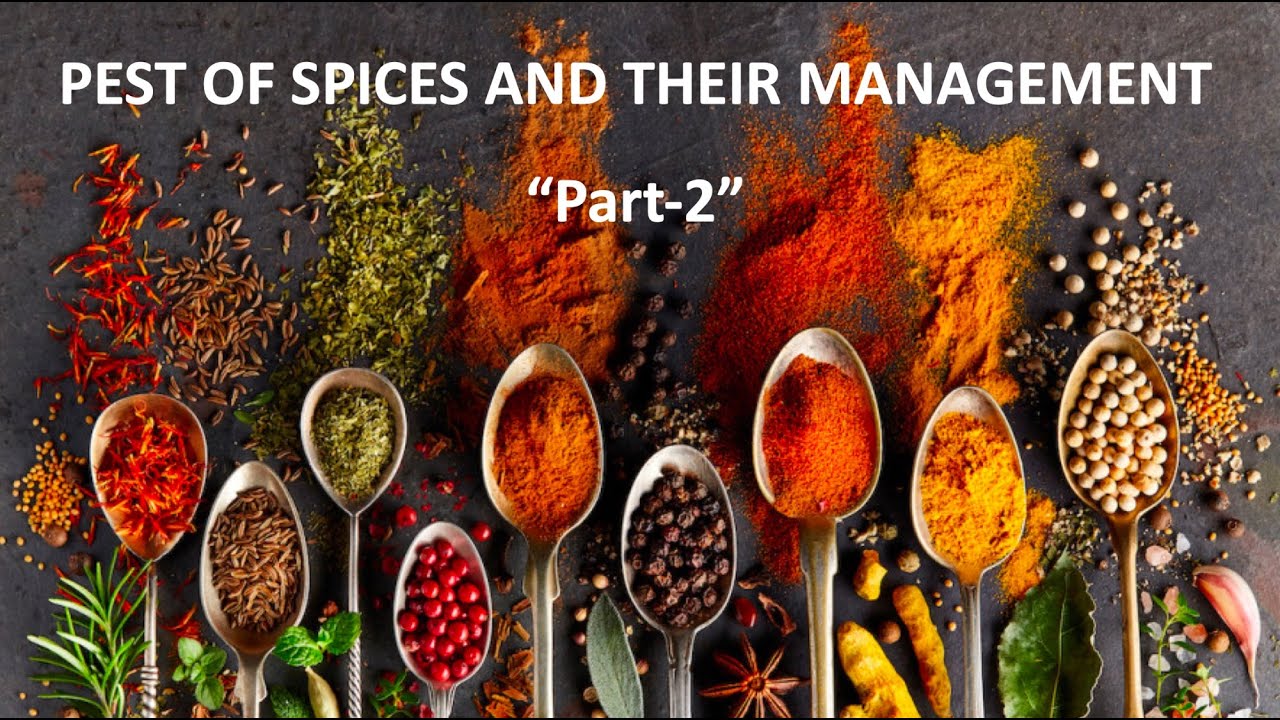P-5 (Part-2) : Health benefits of Spices and their pest management ...