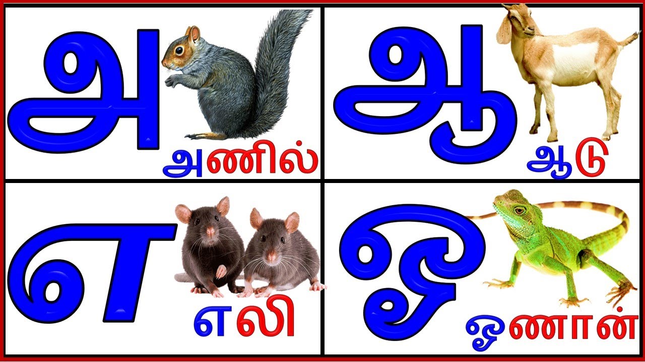 Uyir Ezhuthukal | Learn Tamil Alphabets/அ அம்மா 🤱 ஆ ஆடு 🐐 || அ ஆ இ ஈ ...