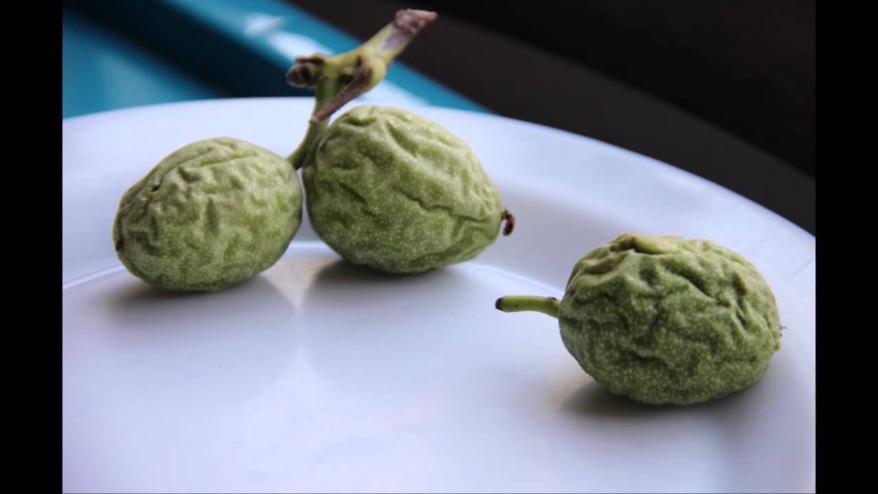 Drying walnut timelapse (35 days) - YouTube