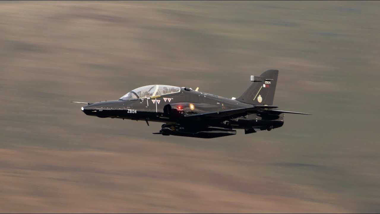 Qatari Hawk in miserable weather - YouTube