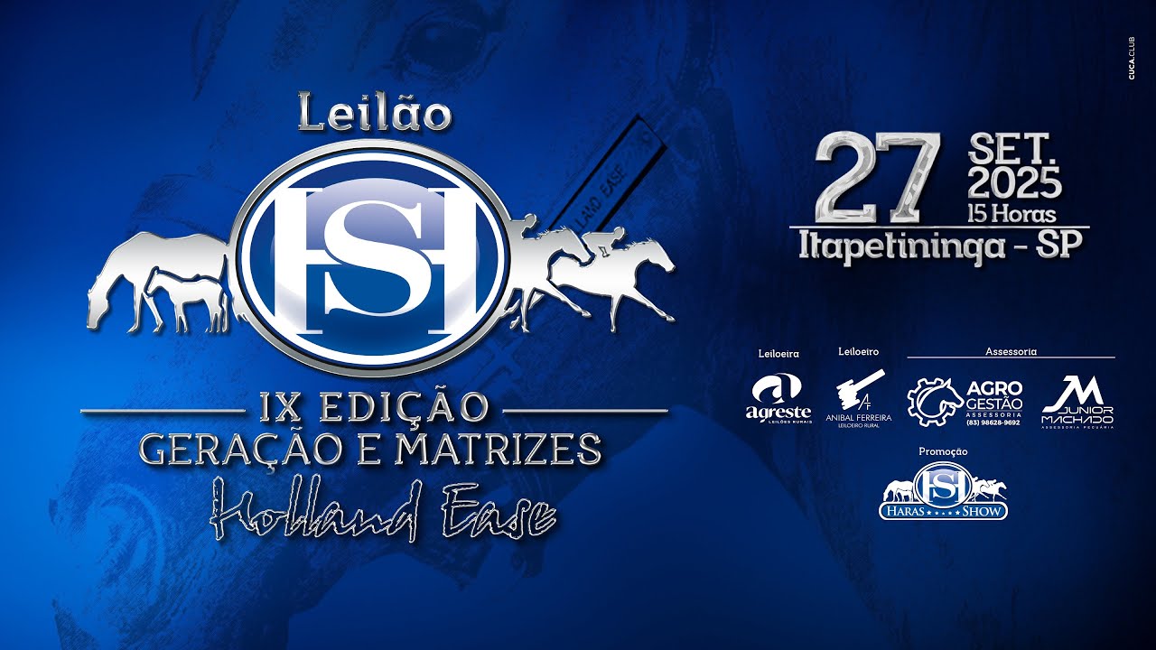 LEILÃO HARAS SHOW - IX EDIÇÃO HOLLAND EASE - GERAÇÃO & MATRIZES - YouTube