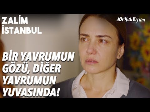 Ceren Oğluma Aşık! Şeniz Seher'i Gaza Getiriyor! | Zalim İstanbul 22. Bölüm