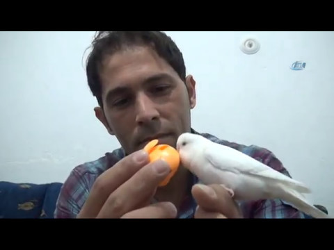 Bu Kuş Dua Ediyor!