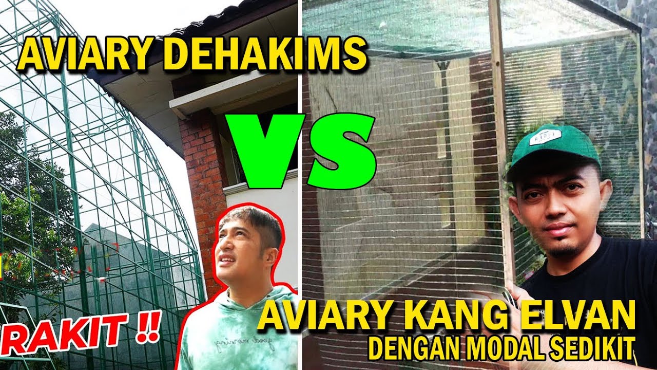 cara membuat aviary minimalis dengan modal sedikit kuat luarbiasa ...