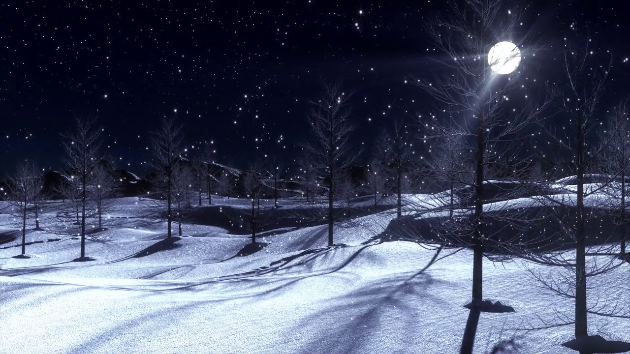 Time-Lapse: Snowfall | Drone Aerial View | Free stock footage | Free HD ...