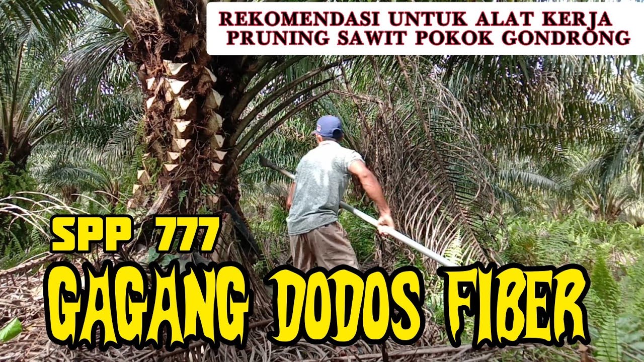 Pruning Sawit pakai Gagang Dodos Fiber ,Dodos Merek SPP 777 # ...
