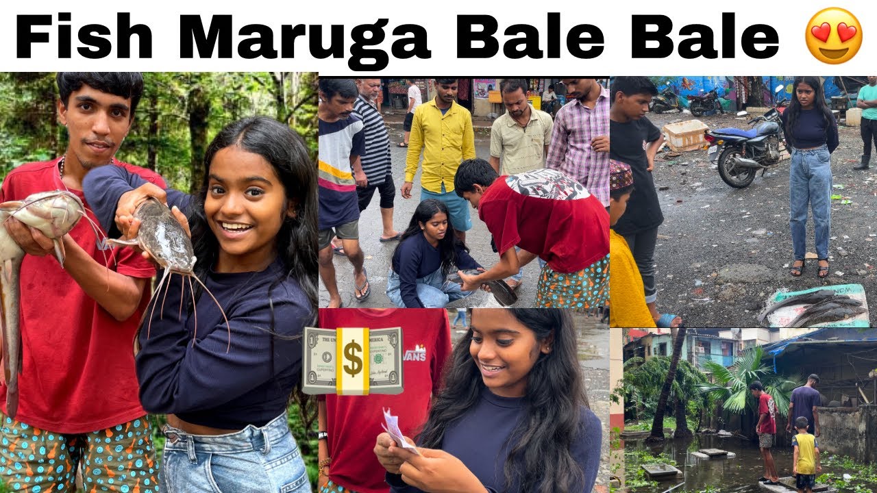 Catching Fish And Selling In the Market😍Meen Patuga BALE BALE| # ...