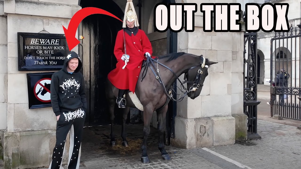 😡Silly Tourist Ignores Rules, Guard Sends Them Away.! - YouTube
