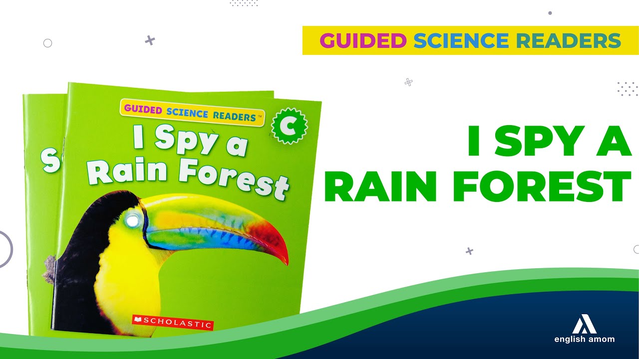 Bộ truyện C: Lesson 5 - I Spy a Rain Forest - YouTube