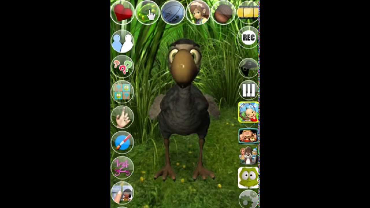 Talking Didi the Dodo - YouTube