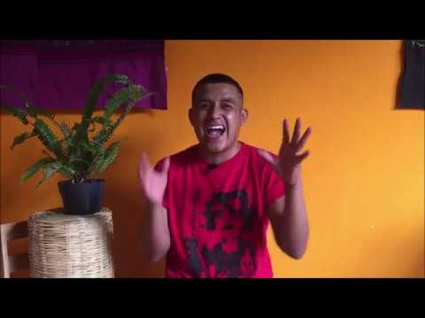 La Señorita Nelson ha desaparecido - Harry Allard y James Marshall ...