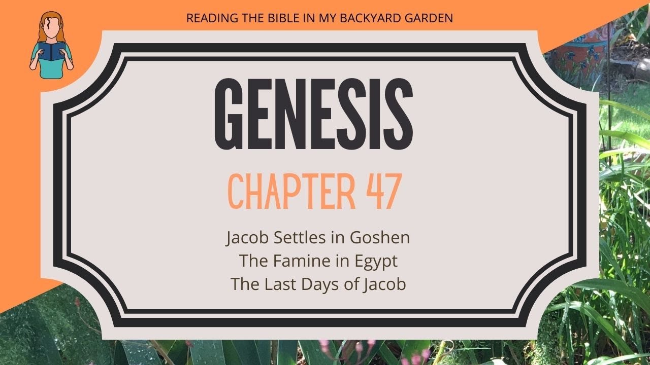 Genesis Chapter 47 | NRSV Bible Reading - YouTube