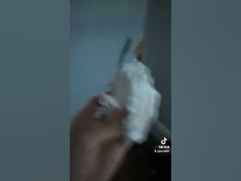 pov: you failed NNN.... but you live with your homies #reels #foryou #nnn #creaturesliehere ...