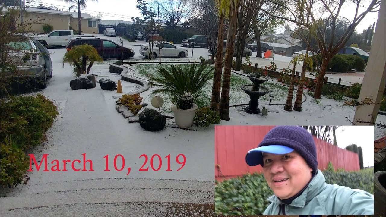 San Jose Snow 2019 ( March 10, 2019) - YouTube
