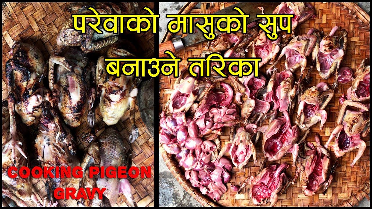 Cooking Pigeon Meat || Nepali Style Pigeon Gravy || परेवाको मासुको सुप ...