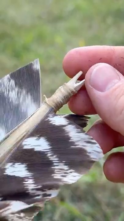 How to make primitive arrows, part 1 #archery #survival #camping # ...
