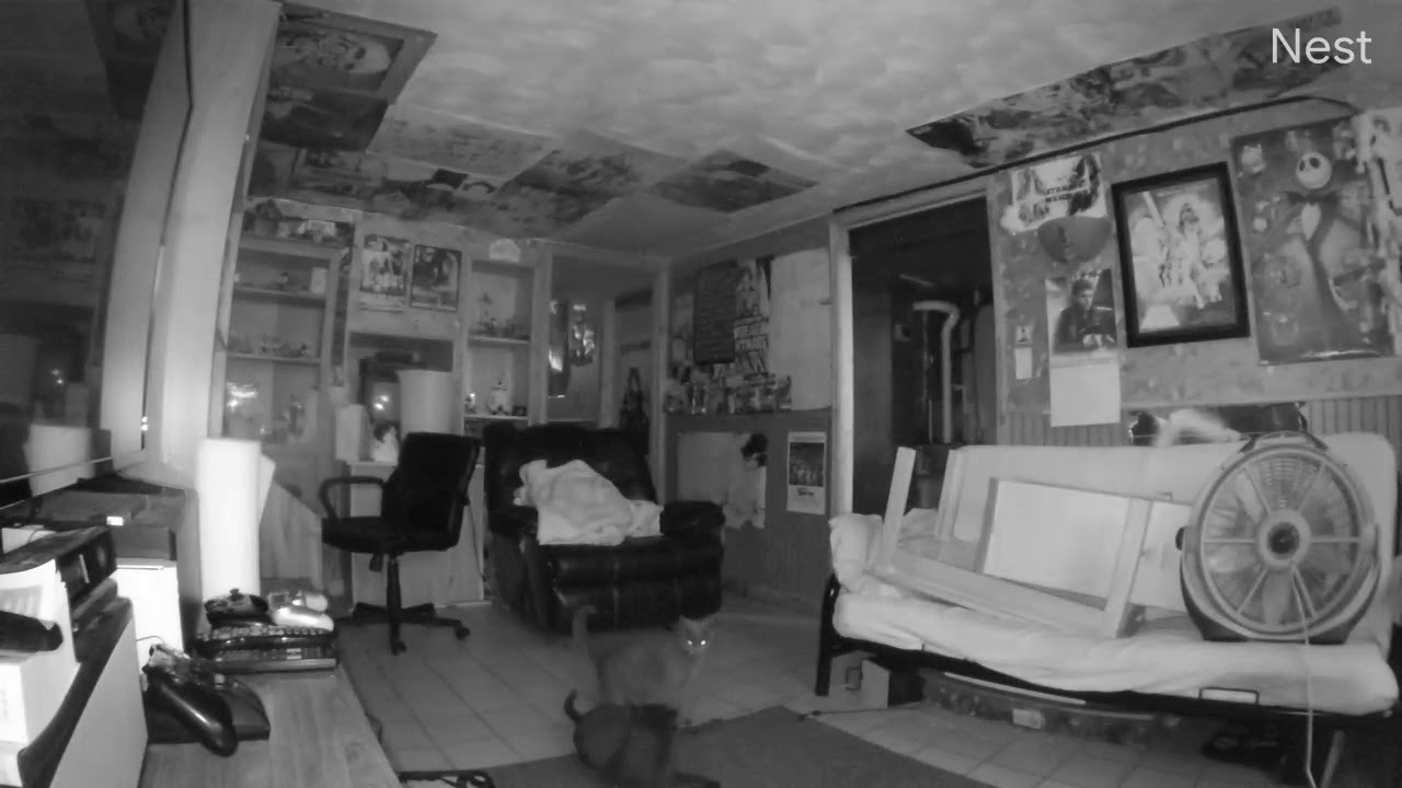 The Infamous Blaze Death Screech - YouTube