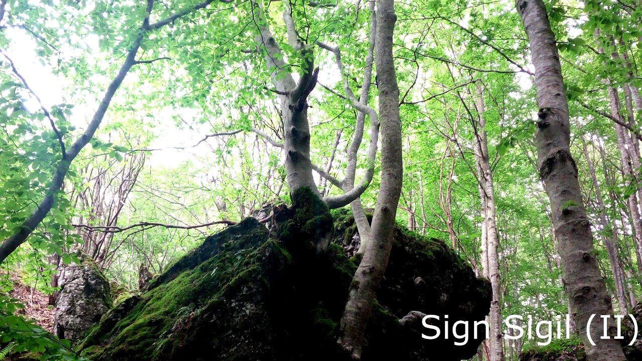 Sing.Sigil(II) (Adriano Fontana) contemporary dance original score ...