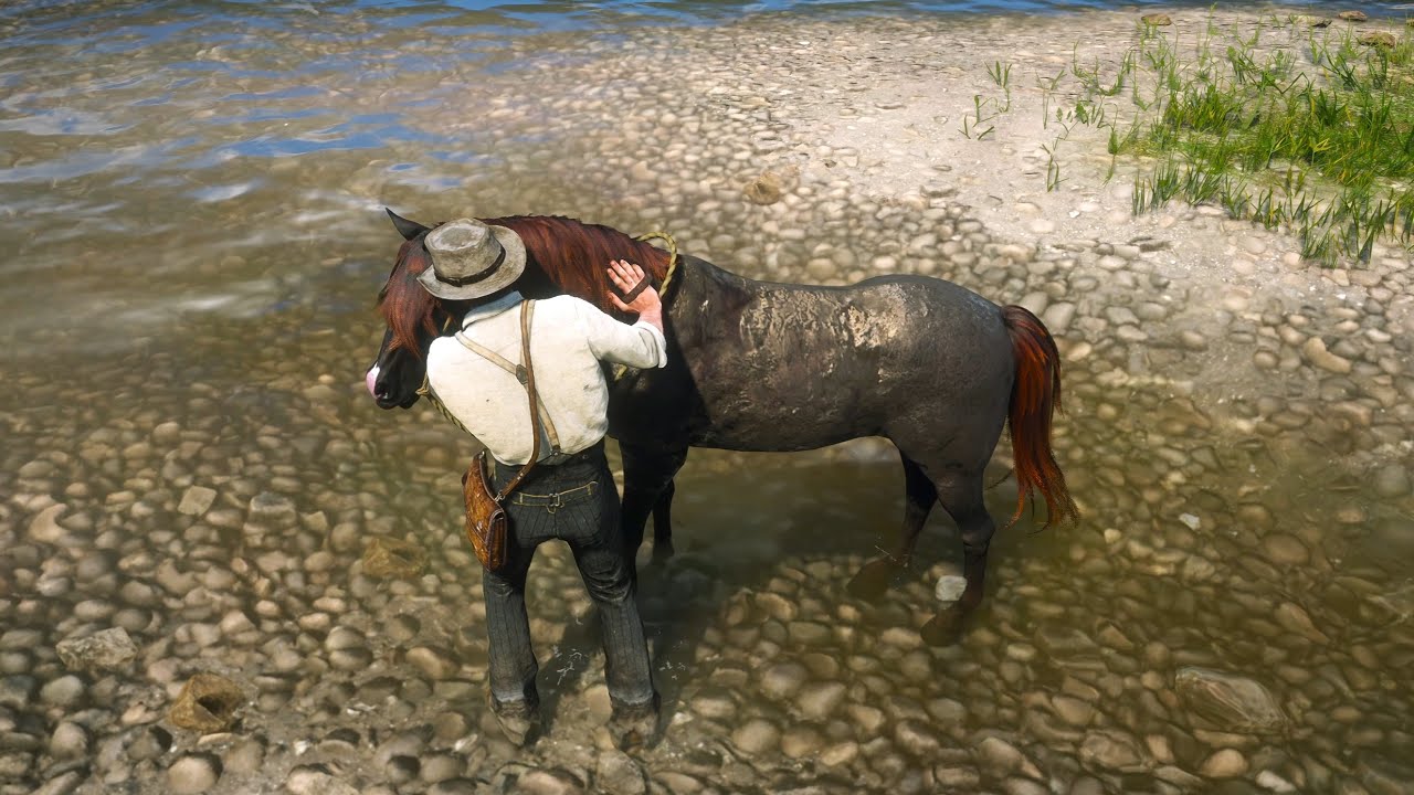 RDR 2 Wild Morgan Horse - YouTube