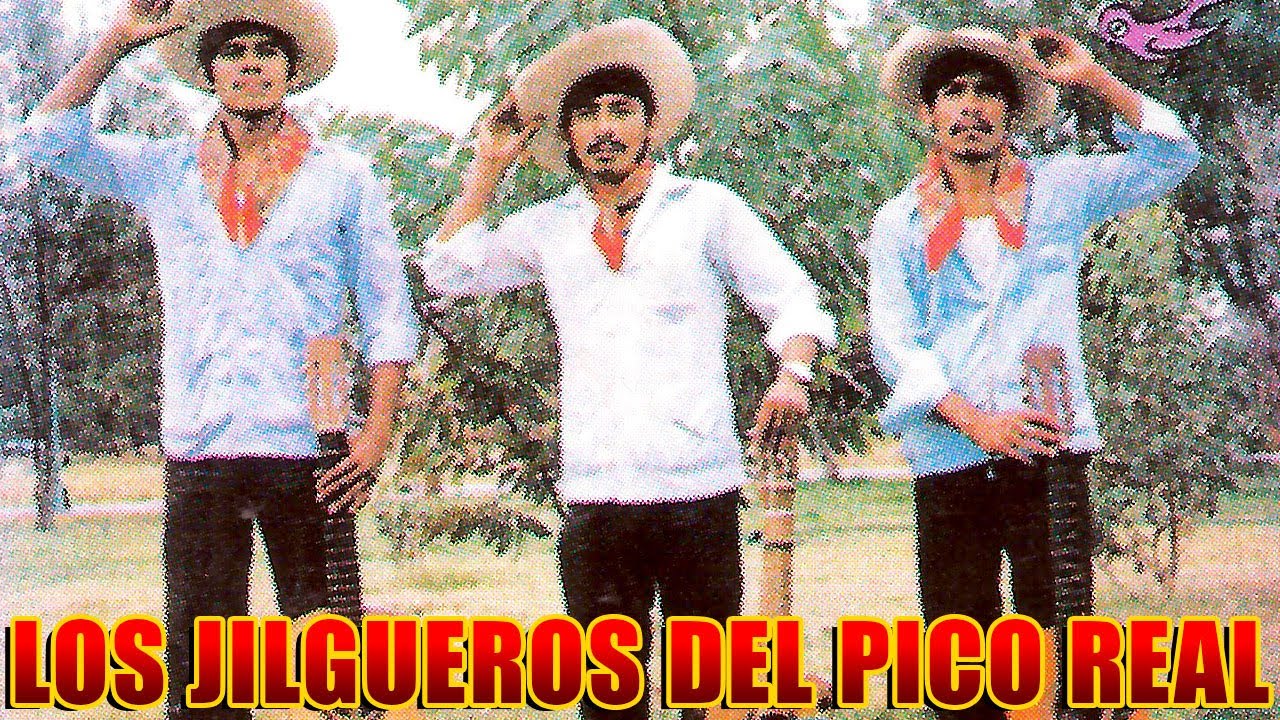 Los Jilgueros Del Pico Real - Las Flores De Guerrero (Album Completo ...