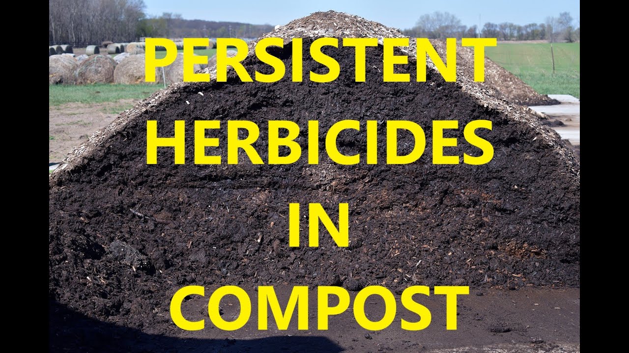 The Hidden Dangers of Persistent Herbicides in Compost - YouTube