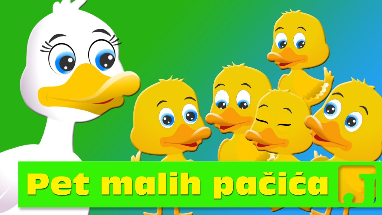 Pet malih pačića | Five Little Ducks | Dečije pesme | Jaccoled - YouTube