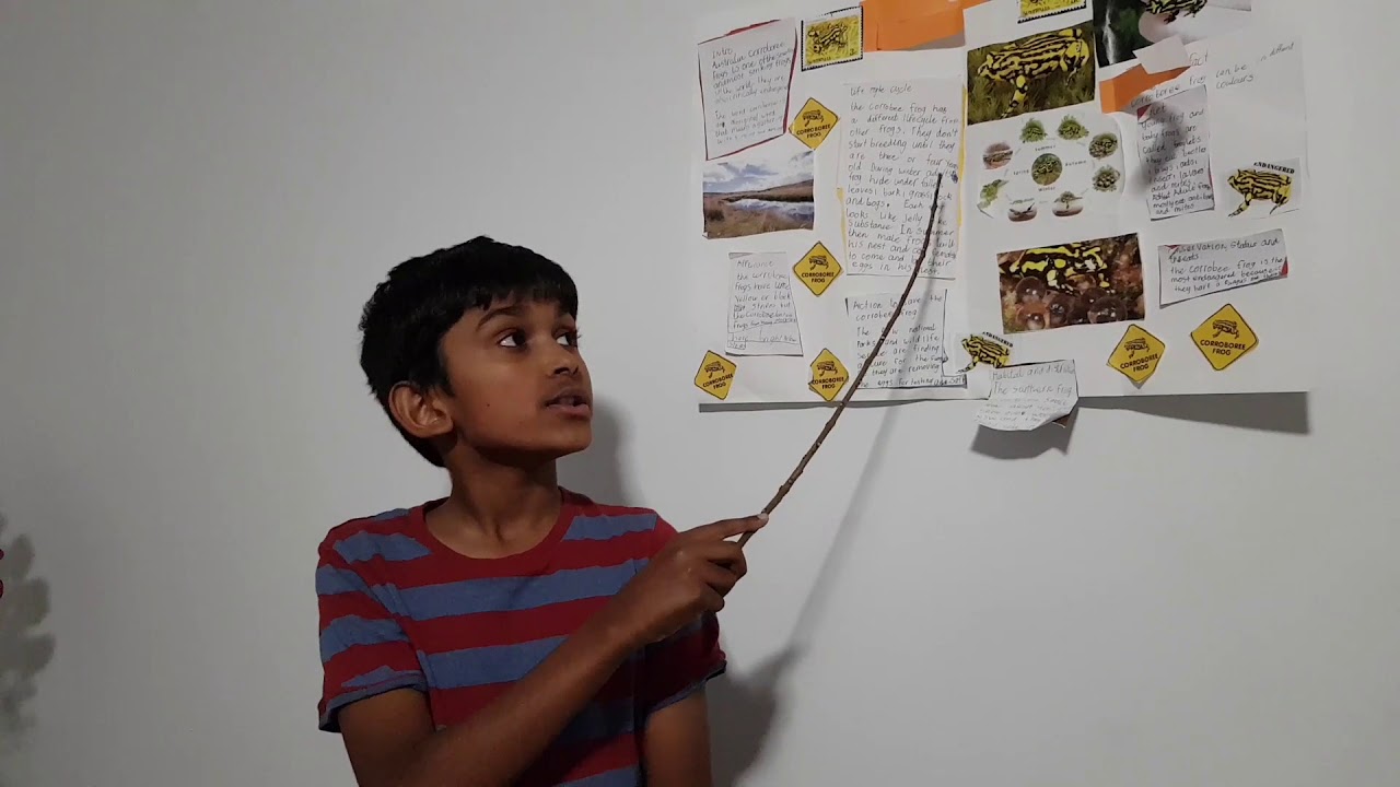 Informative Video Session by Leonel Senson.. - YouTube