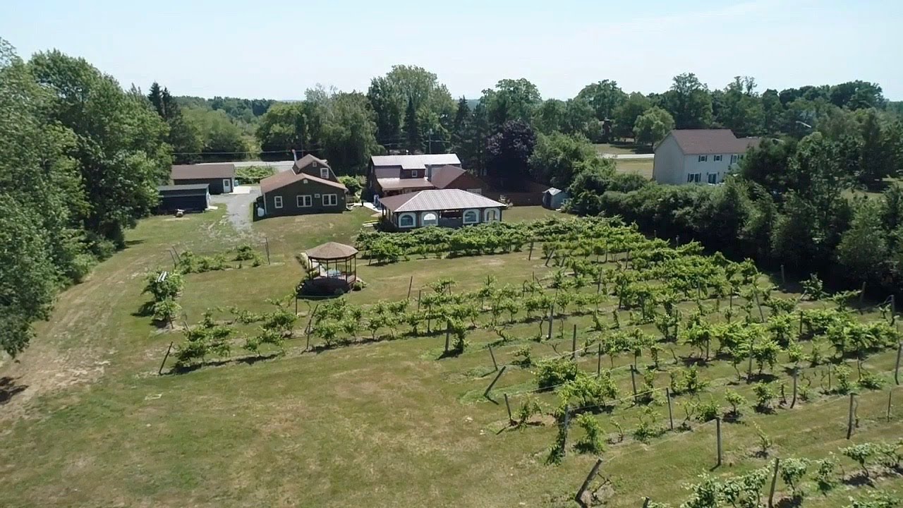 Amazing Grace Vineyard Virtual Tour - YouTube
